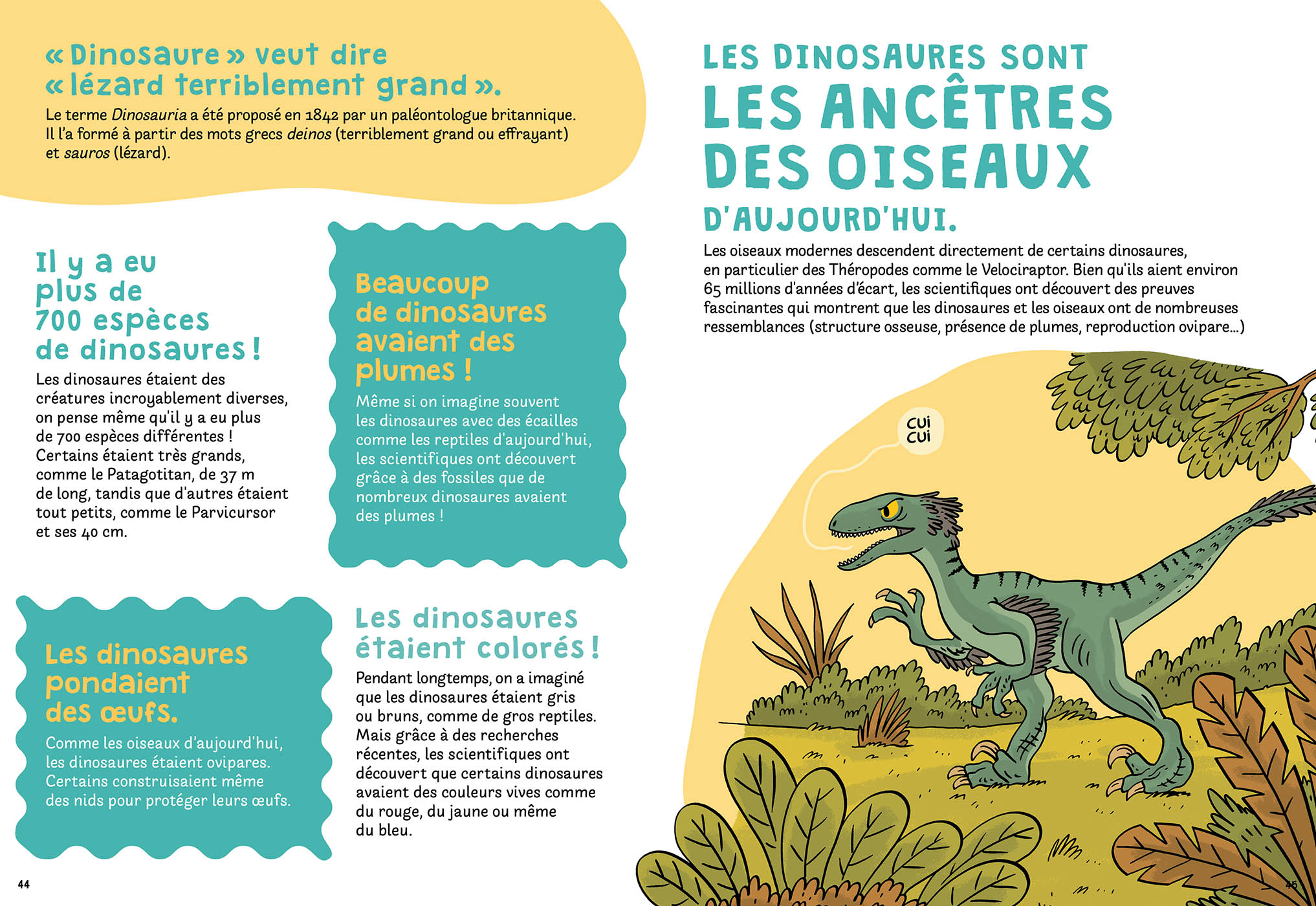 Le grand livre des faits incroyables mais vrais - Livres enfants - Auzou